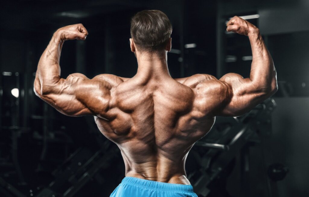 Bodybuilding là gì? Phân biệt Bodybuilding và Fitness