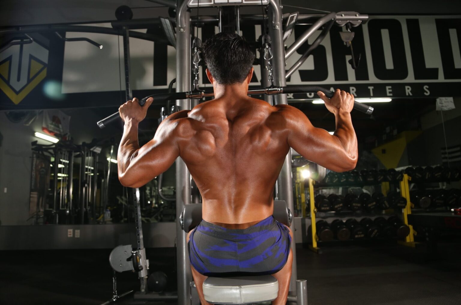 Bodybuilding là gì? Phân biệt Bodybuilding và Fitness