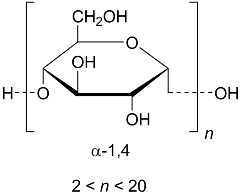 Maltodextrin là gì? Có nên sử dụng loại carbs này không?
