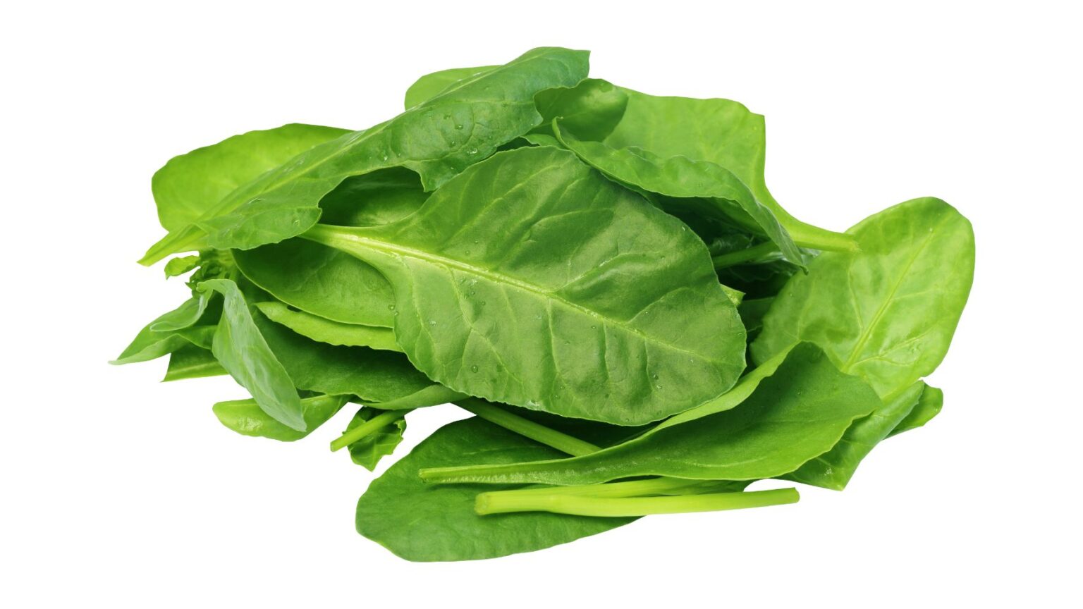 Rau bina (rau chân vịt) là gì? 17 lợi ích tuyệt vời của rau bina