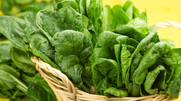 Spinach là rau gì? Giá trị dinh dưỡng và lợi ích của rau Spinach
