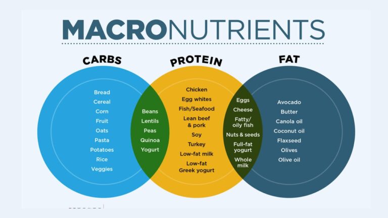 Macronutrients là gì? Cách tính Macros cho người tập gym