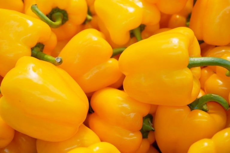 Top 9+ loại trái cây màu vàng tốt cho sức khỏe mà bạn nên ăn